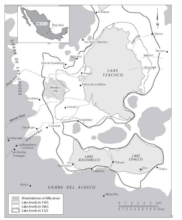 An Unlikely Environmentalism: Mexico City’s Urban Ecological Thought in ...